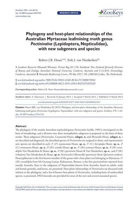 PDF Phylogeny And Host Plant Relationships Of The Australian Myrtaceae Leafmining Moth Genus