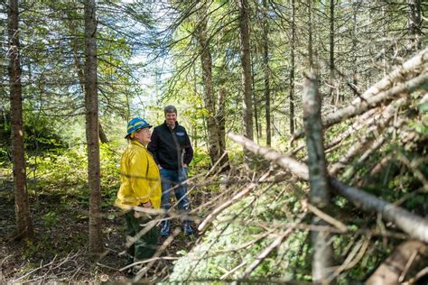 Ancient Biochar Method Revamped For Modern Challenges Biomass Magazine