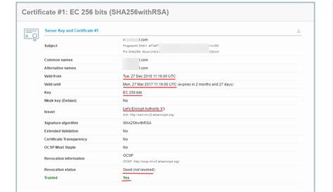 TLS V Ray Beginner S Guide