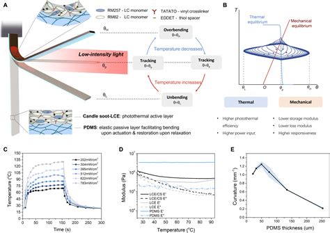 Sunlight Powered Self Excited Oscillators For Sustainable Autonomous Soft Robotics Science