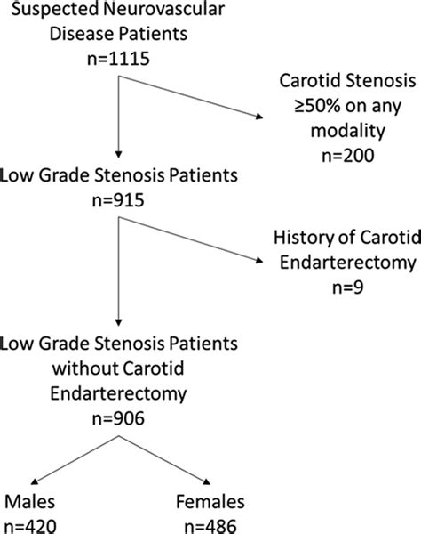 Age Specific Sex Differences In Magnetic Resonance Imaging Depicted Carotid Intraplaque