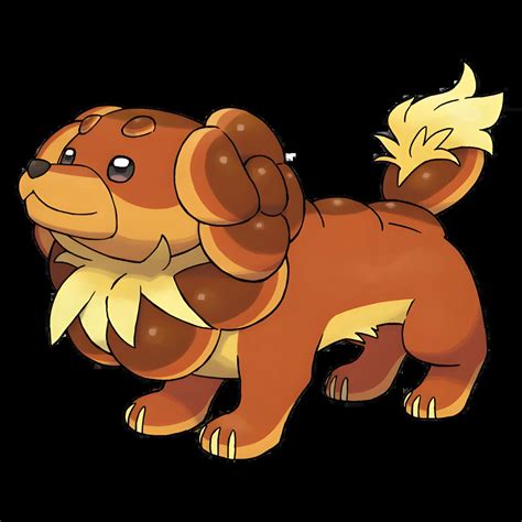 Dachsbun Pokémon Wiki Fandom