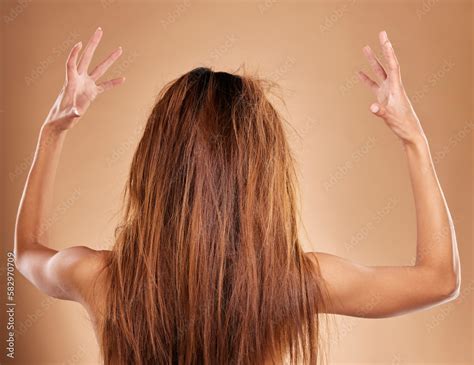 Messy Tangled And Back Of A Woman In A Studio With Knot Brittle And Damaged Hairstyle Dry