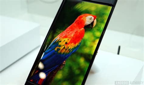 Poled Vs Ips The Differences In Display Tech Explained