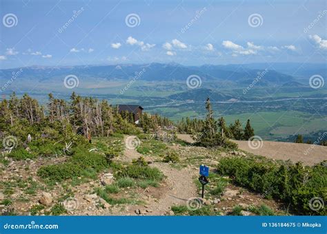 Hiking Trails At The Top Of The Jackson Hole Wyoming In The Summer In