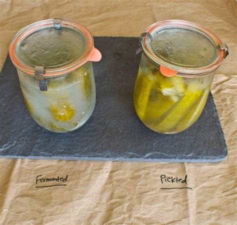 Fermented Pickles Vs Regular Pickled Pickles Betsylife