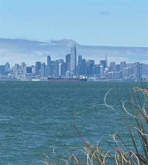 Deann Wright I Love The View From Our Office