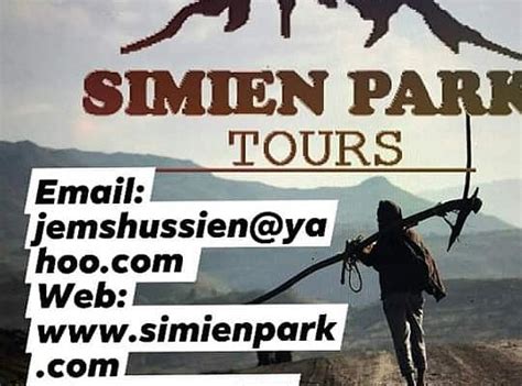 Simien Park Tours 2025 All You Need To Know Before You Go With Reviews