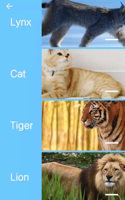 Lynx Native Run Native Apps For Ios And And Codekk Javascriptopen