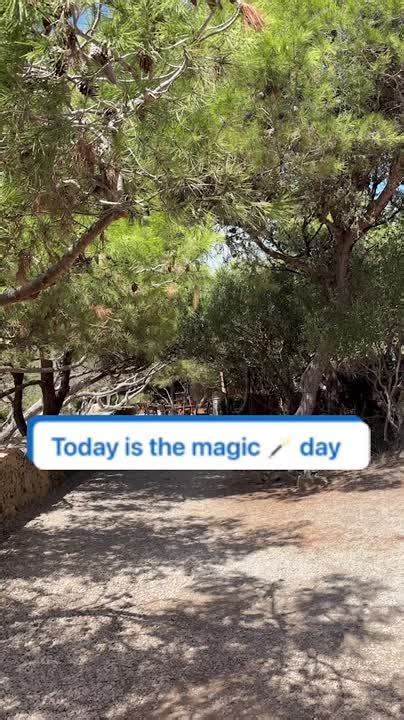 Alexandra Badea On Linkedin Networking People Networkingelite