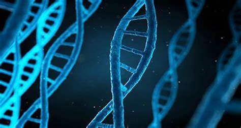 Exome Sequencing Premier Medical Supplies