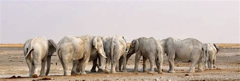 Postgresql Das Freie Objektrelationale Open Source Datenbanksystem