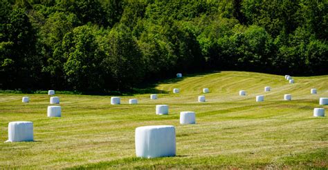 건초 건초 더미 건초 롤 경치 경치가 좋은 계절 고요한 그림 같은 나무 나뭇잎 녹색 농경지 농업 농장 농장 생활 농촌 풍경 농촌의 들판 롤링