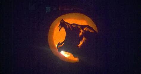 I Heard It Is Pumpkin Month First Post After Signing Up A Year Ago