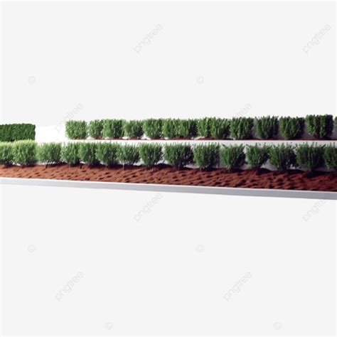 수채화 팬더 클립 아트 수채화 손으로 그린 클립 아트 Png 일러스트 및 이미지 에 대한 무료 다운로드 Pngtree