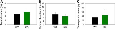 There Is No Difference In Motor Activity Between Wt And Ko Mice