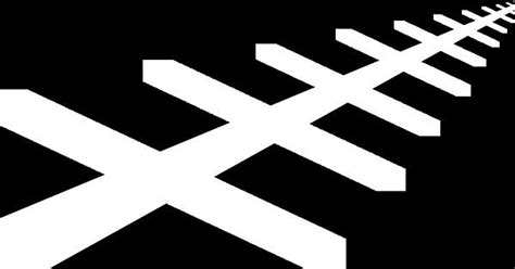 Minimalistish Silver Fern Nz Flag Imgur