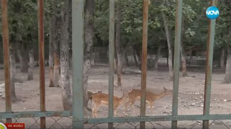 Зоопаркът в Хасково планира да отвори класна стая на открито ВИДЕО Nova