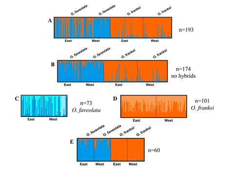 Distruct Plots Of All Structure Analyses Distruct Plots From Download Scientific Diagram