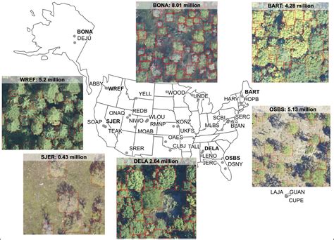 Plot Neon Rgb Camera Imagery In Python Nsf Neon Open Data To Understand Our Ecosystems