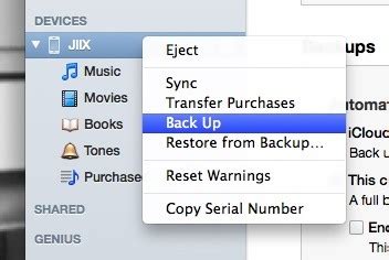 How To Extract Back Up All Your Text Messages Picture Messages From Your IPhone To Your Mac