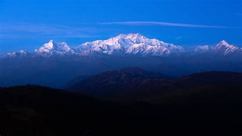 Shefiq Basheer Ahammed Shefiqbasheer • Instagram Photos And Videos