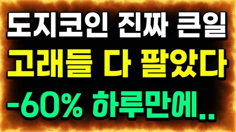 도지코인 진짜 큰일 고래들 다 팔았다 60 하루만에 시바이누코인 비트토렌트코인 파일코인 리플코인 코인추천 알트