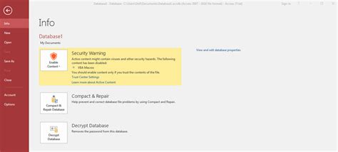 How To Protect Data In Microsoft Access 2016