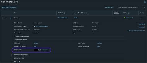 All Traffic Coming In Or Going Out Of This Interface Will Be Rate