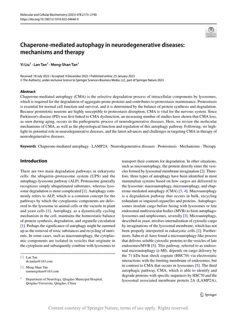 Chaperone Mediated Autophagy In Neurodegenerative Diseases Mechanisms And Therapy Request PDF