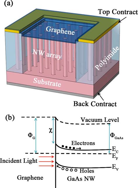 A Monolayer Graphenegaas Nanowire Array Schottky Junction Self Powered Photodetector Applied