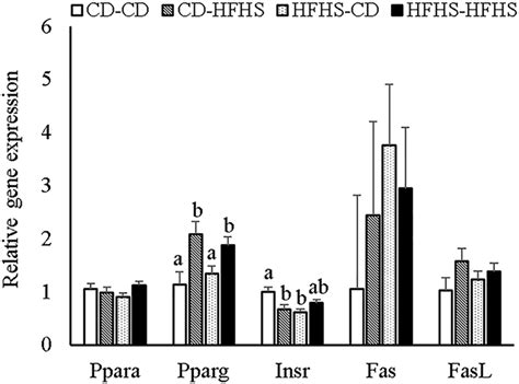 Gene Expression Of Ppara Pparg Insr Fas And Fasl In The Testis At 11 Download Scientific