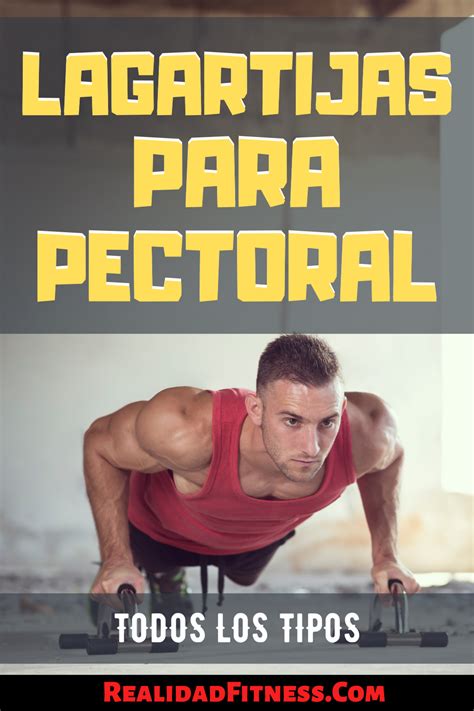 Lagartijas Para Pectoral Todos Los Tipos Lagartijas Ejercicio