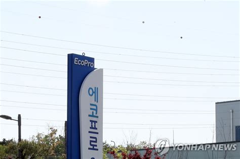 공매도 전면 금지에 이차전지株 환호에코프로 상한가종합 나무뉴스