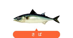 原寸大魚モデル公益財団法人山形県学校給食会