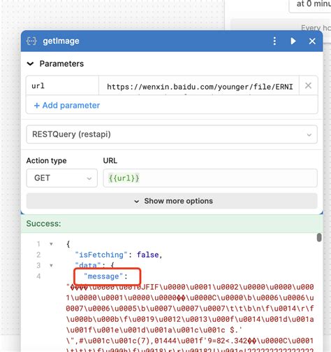can run js code of workflow convert image from url to base64 content
