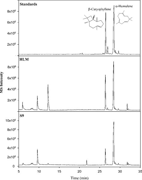Figure 2 From Development Of A Gc Q Tof Ms Method Coupled With Headspace Solid Phase