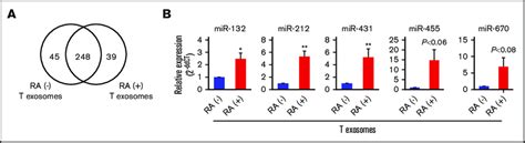 Expression Of Several Mirna Candidates Associated With The