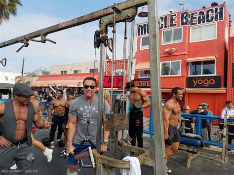 Venice Beach Bodybuilding At Jonathan Worgan Blog
