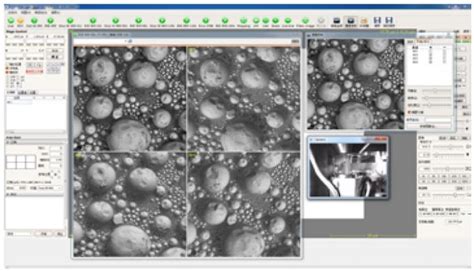 Magnification 8x 800000x Scanning Electron Microscope 15 3nm