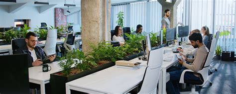 취약점 관리 및 검사 서비스 Ibm 취약점 관리 및 검사 서비스 Ibm