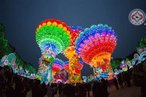 精彩回顾—自贡灯会官方网站