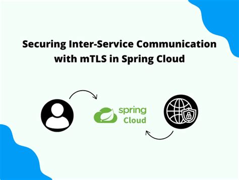 Securing Inter Service Communication With Mtls In Spring Cloud Neova Solutions Specialized