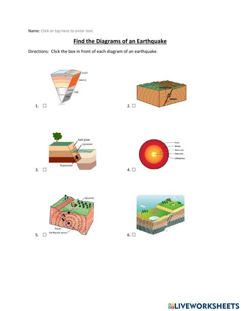 Anatomy Of An Earthquake Worksheet Anatomy Worksheets