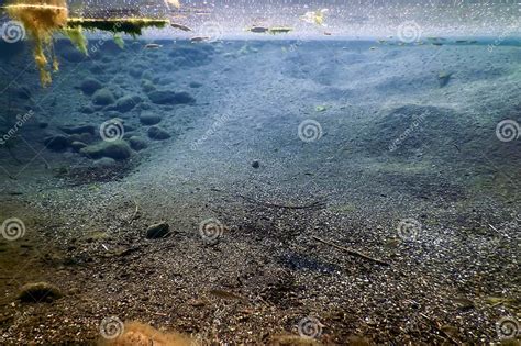 Underwater Pebbles And Gravel Rivers Freshwater Underwater Crystal