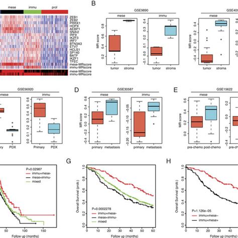 The Tcga Subtypes Are Not Associated With Patient Prognosis A