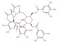 Chebulinic Acid M Tuberculosis Dna Gyrase