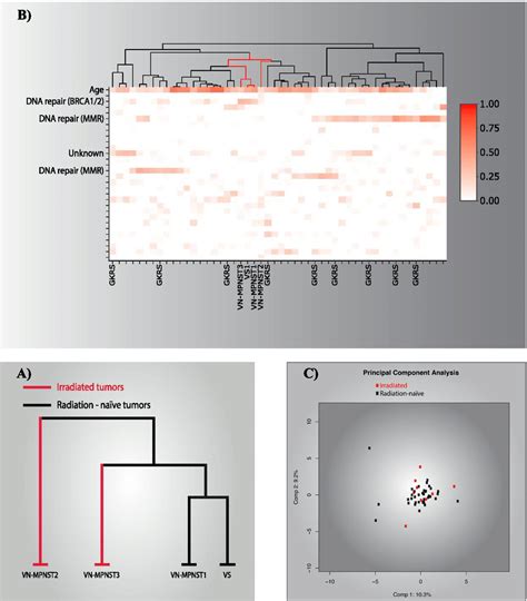 Unsupervised Hierarchical Clustering Revealed No Association Between
