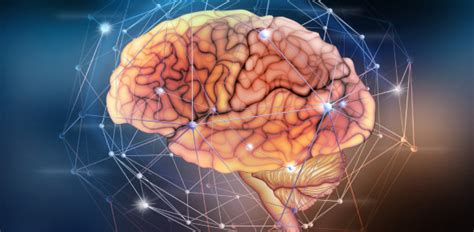 Neuro Exam Quiz Questions And Answers Trivia And Questions