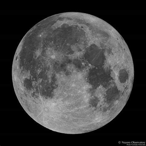 星の分類・種類って？色の違いや代表的な星も解説 宇宙メディア「spacemate（スペースメイト）」 東京海上日動